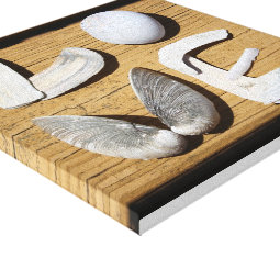LOVE Sea Shell Canvas Print | Zazzle