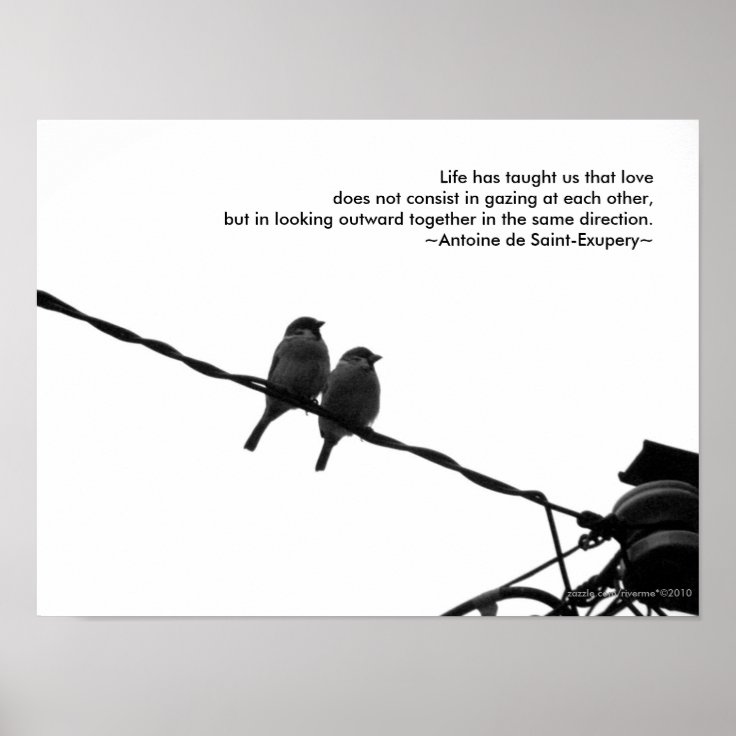 Love - Sparrow Pair B&W Photo Love Quote Print | Zazzle