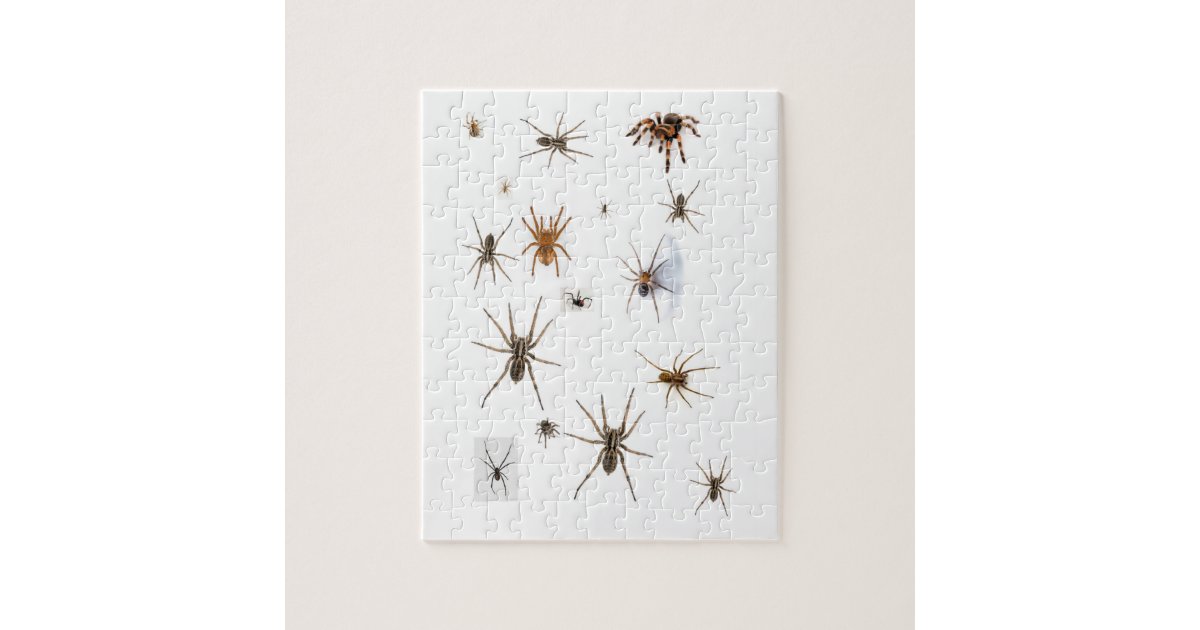 Love Spiders! Jigsaw Puzzle | Zazzle