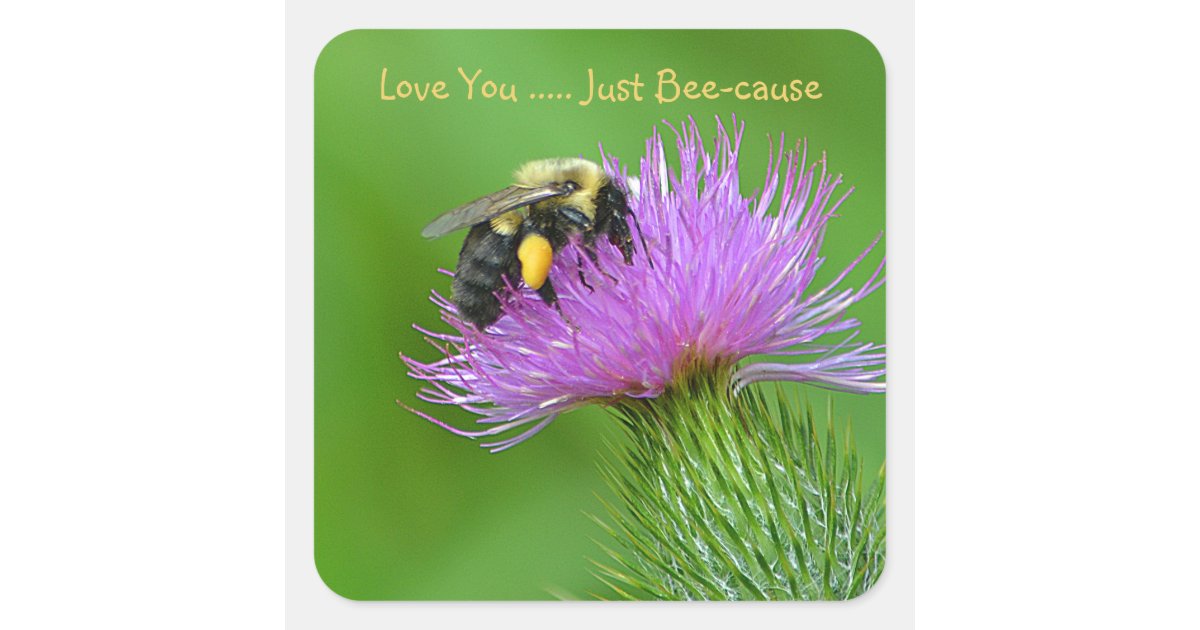 Love You Just Bee-cause Square Sticker | Zazzle