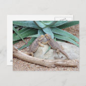 Love you_Reptiles Postcard | Zazzle