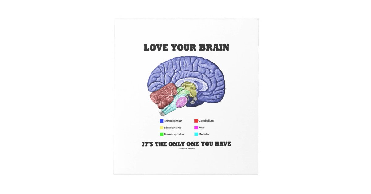 Love Your Brain It's The Only One You Have (Humor) Notepad | Zazzle