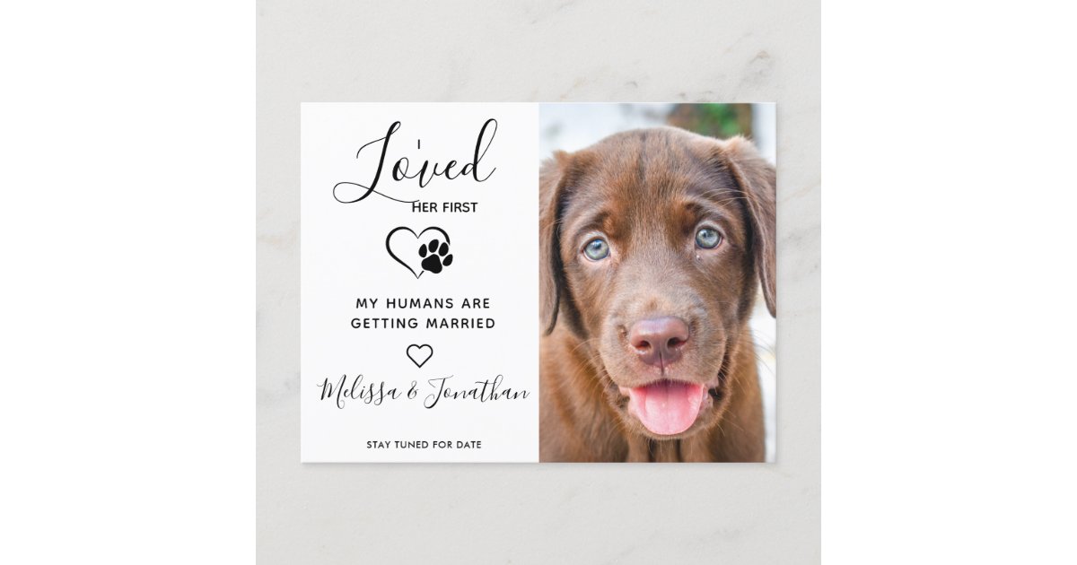 Loved Her First Modern Pet Wedding Dog Engagement Announcement Postcard ...