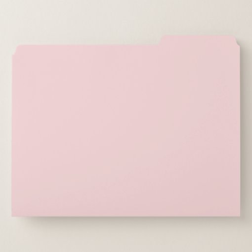 Lovely and Pink Homeschool Mom File Folder | Zazzle
