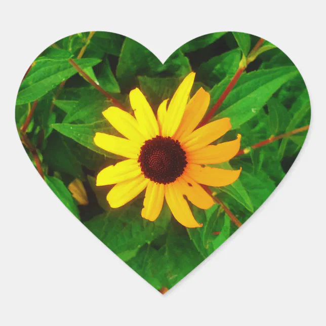 Lovely Black Eyed Susan Sunflower Heart Sticker | Zazzle