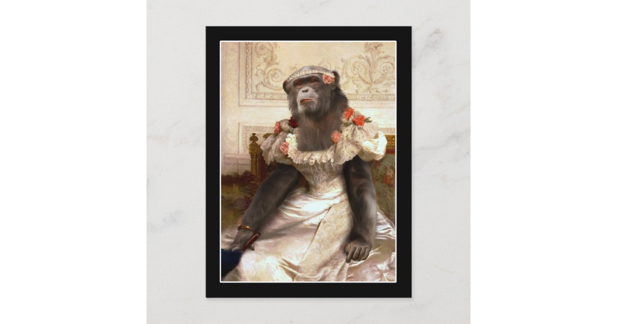 Lovely Chimp in Gown Postcard | Zazzle