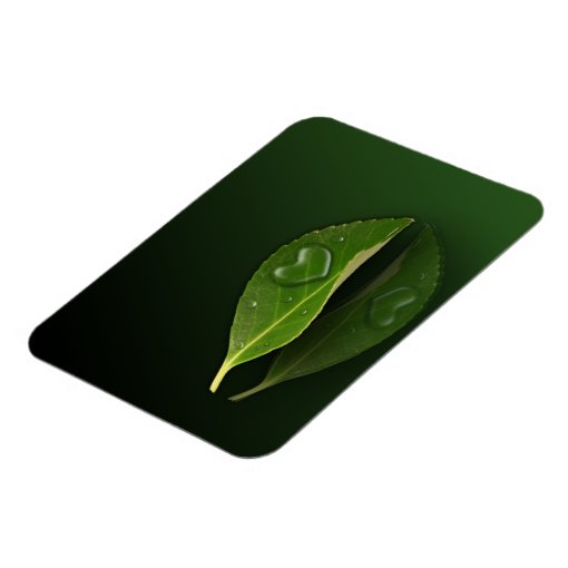 Lovely Heart-Shaped Water Droplet on Leaf Magnet | Zazzle