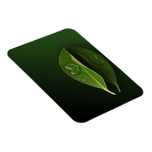 Lovely Heart-Shaped Water Droplet on Leaf Magnet | Zazzle