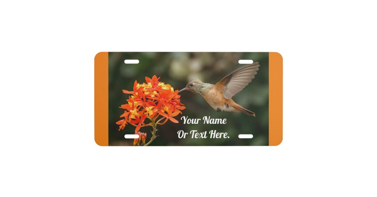 Lovely Hummingbird License Plate | Zazzle