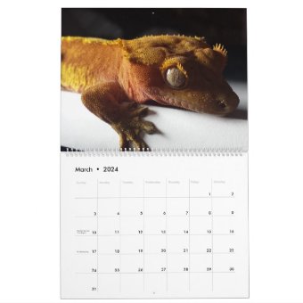 Lovely Lizards Calendar | Zazzle