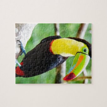 Lovely Toucan Jigsaw Puzzle | Zazzle