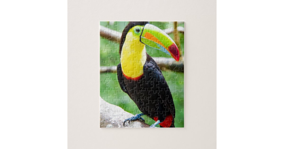 Lovely Toucan Jigsaw Puzzle | Zazzle