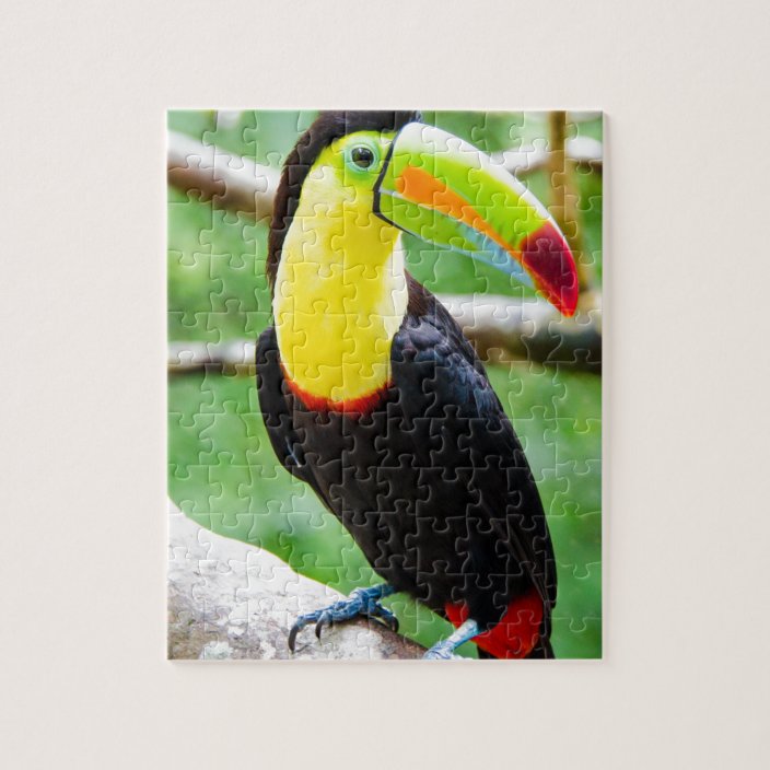 Lovely Toucan Jigsaw Puzzle | Zazzle.com