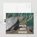 Loving Retired Life Humorous Turtle Photo Funny Postcard | Zazzle