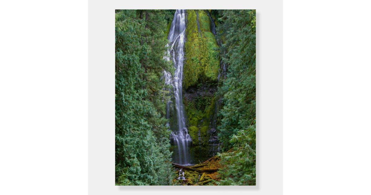 Lower Proxy Falls | Willamette National Forest Foam Board | Zazzle