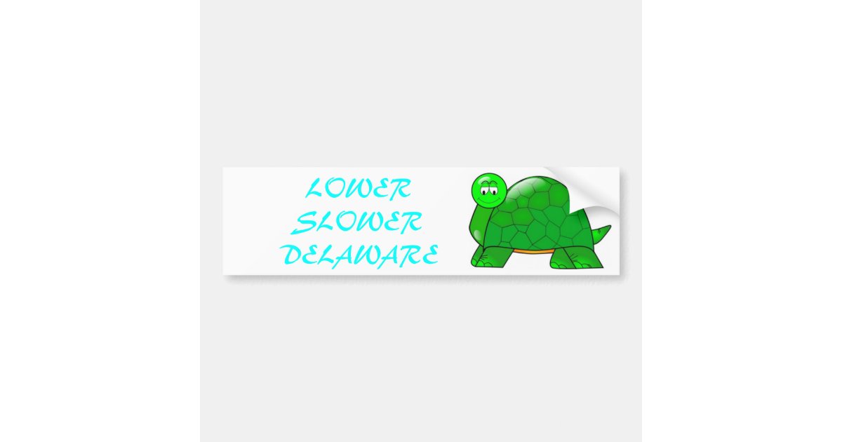 Lower Slower Delaware Bumper Sticker | Zazzle