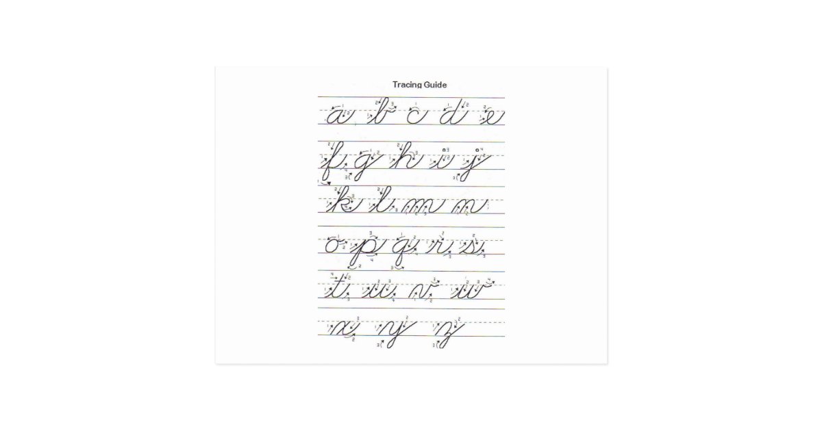 Lowercase Cursive Guide Postcard | Zazzle.com