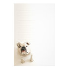 Cute Dogs Lined Stationery | Zazzle.com