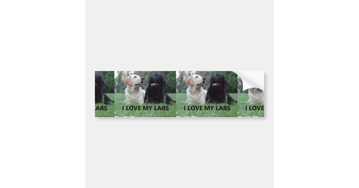 LR I Love My Labs with Picture Bumper Sticker | Zazzle