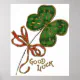 Luck O The Irish St. Patrick's Day Poster | Zazzle