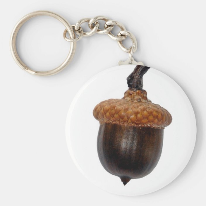 Lucky acorn keychain | Zazzle.com