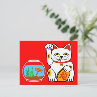 Lucky Cat. Unlucky Fish Postcard | Zazzle