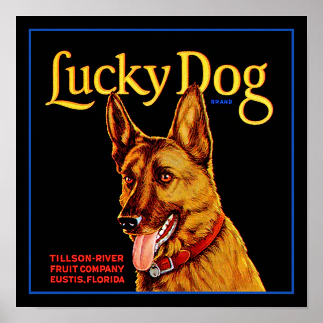 Lucky Dog Poster | Zazzle