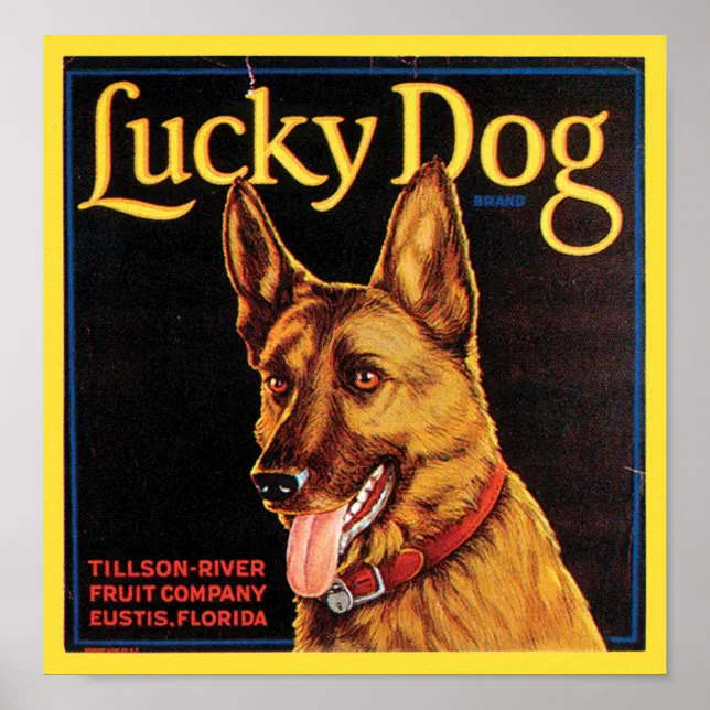 Lucky Dog Vintage Crate Label Poster | Zazzle