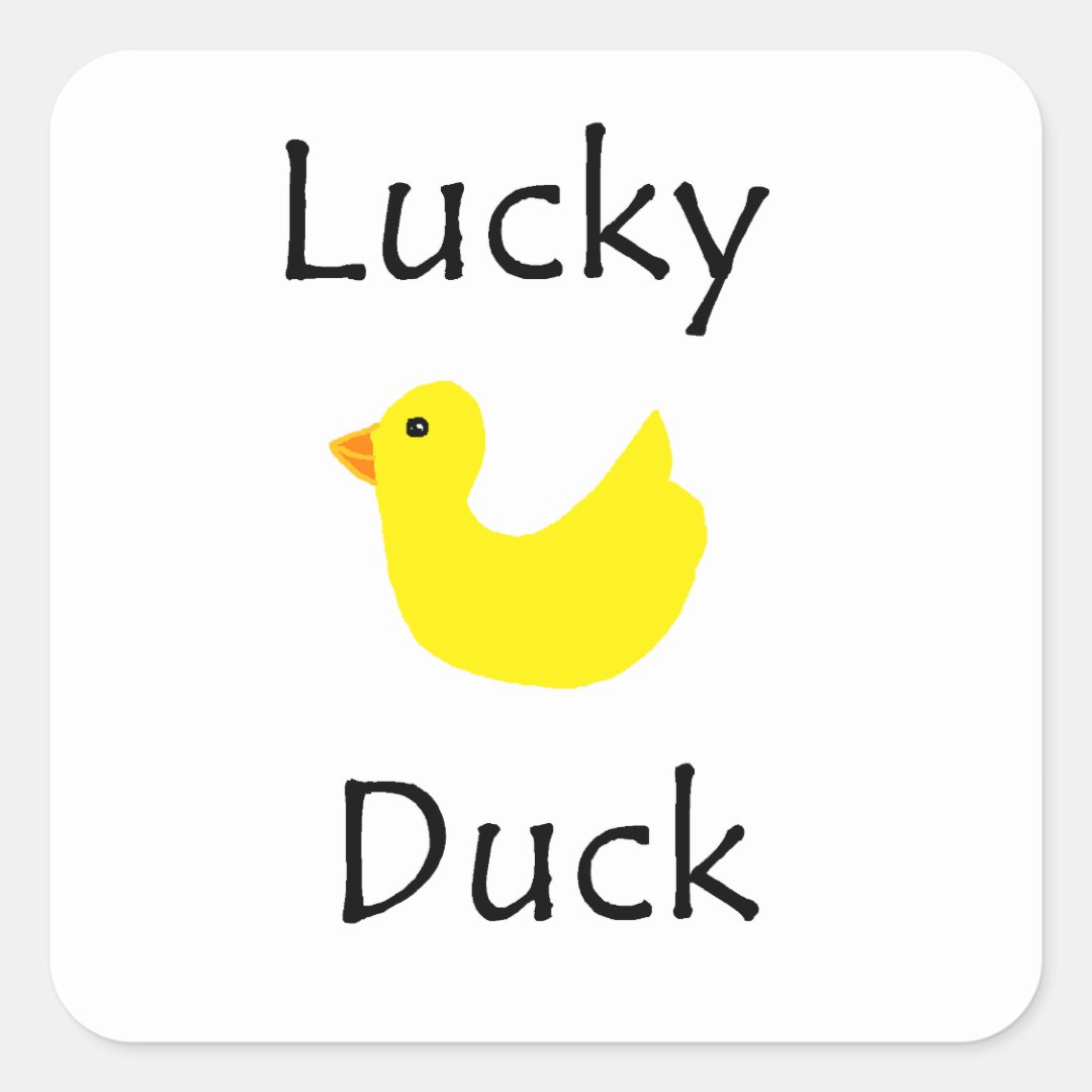 Lucky Duck Square Sticker | Zazzle