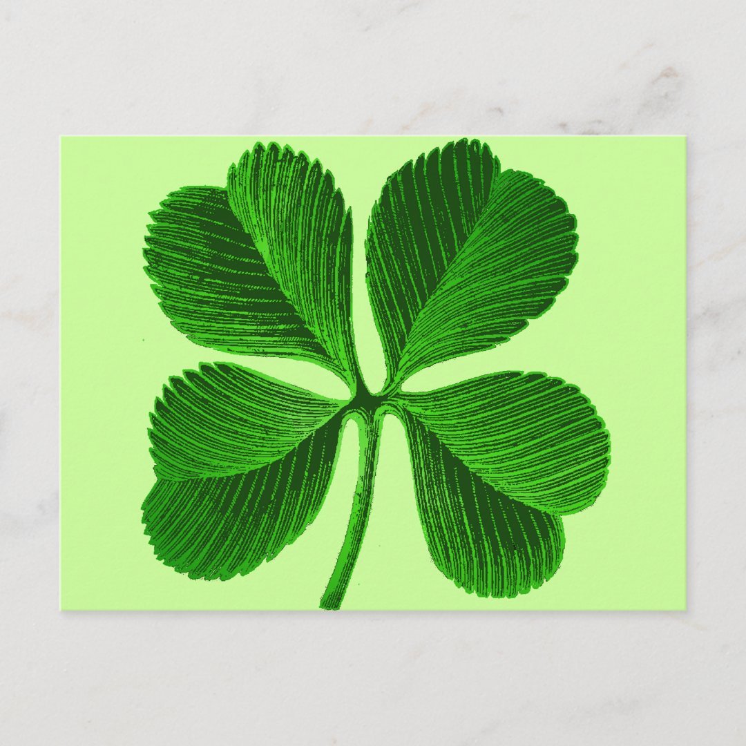 Lucky Four Leaf Clover Postcard | Zazzle