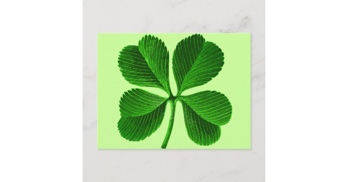 Lucky Four Leaf Clover Postcard | Zazzle