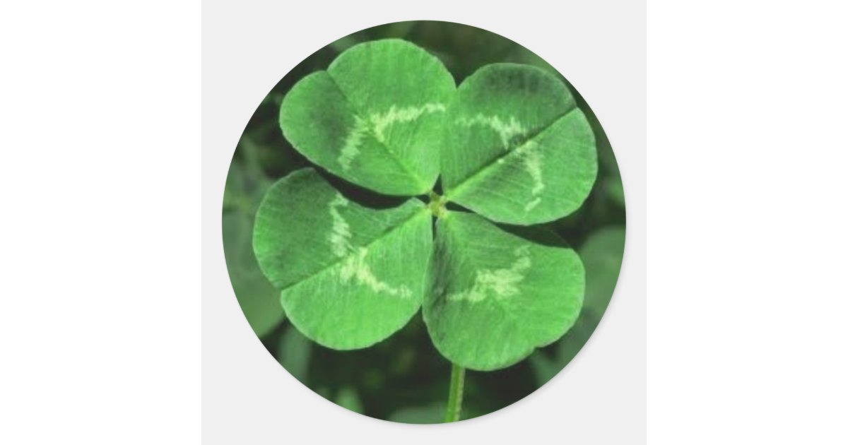 LUCKY FOUR LEAF CLOVER STICKERS | Zazzle