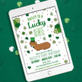 Lucky One March First Birthday Invitation | Zazzle