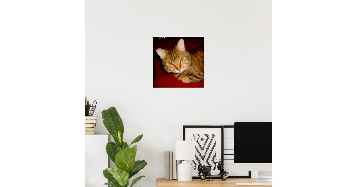 Lucy Kitty Poster | Zazzle