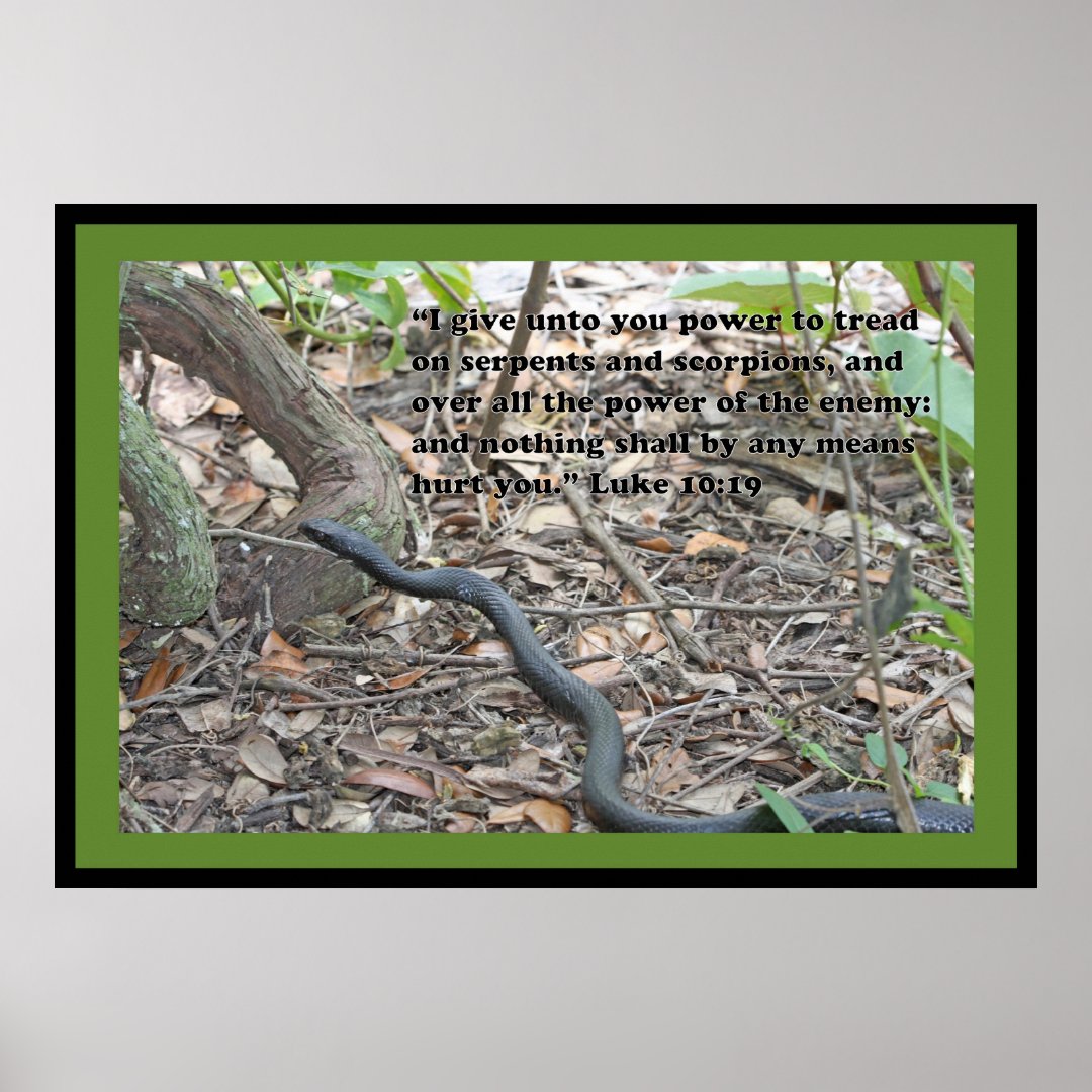 Luke 10:19 Scripture Poster (Version B) | Zazzle