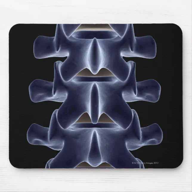 Lumbar Vertebra 2 Mouse Pad | Zazzle