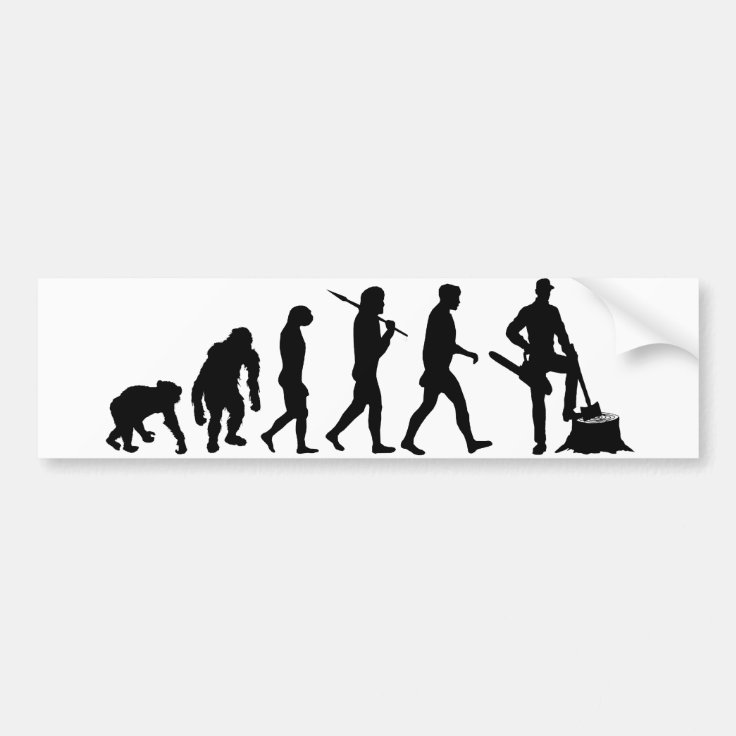 Lumberjack tree feller loggers bunyan evolution bumper sticker | Zazzle