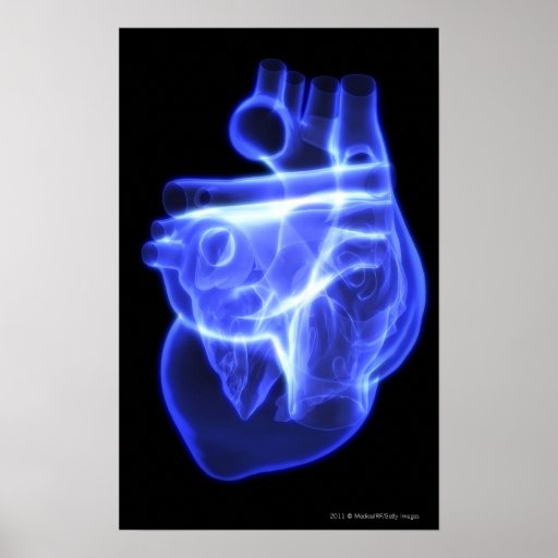 Cardiology Posters, Cardiology Prints, Art Prints, & Poster Designs ...