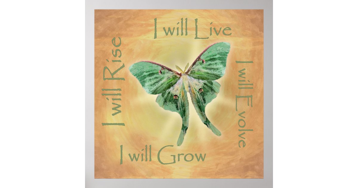 Luna Moth Artistic Motivational Poster Print | Zazzle