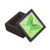 Luna moth on a pale green background jewelry box | Zazzle