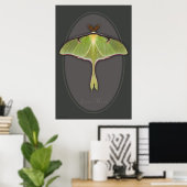 Luna Moth Poster -24x36 -other sizes available | Zazzle