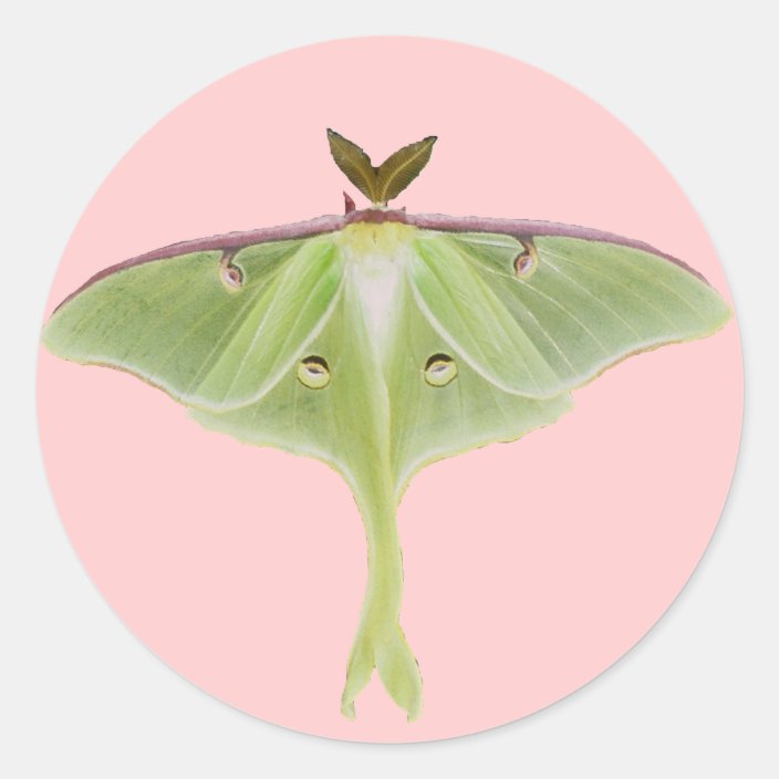 Luna Moth Stickers | Zazzle.com