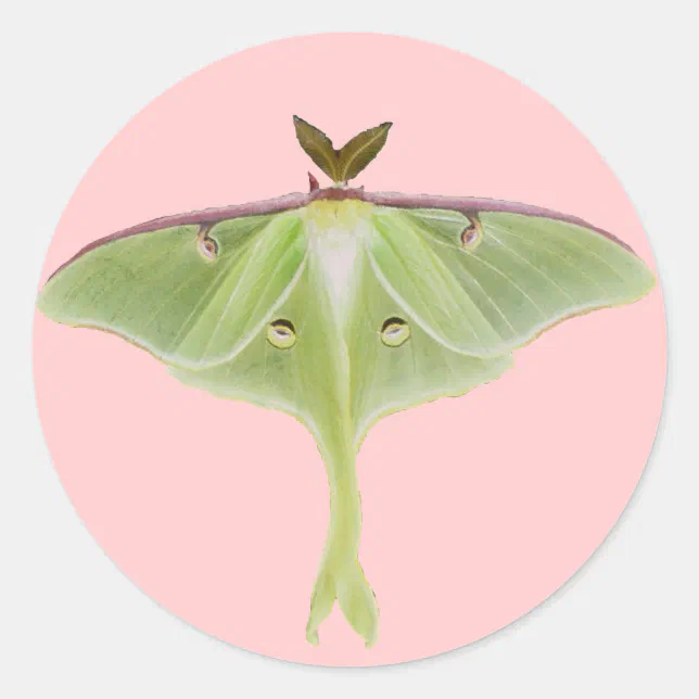 Luna Moth Stickers | Zazzle