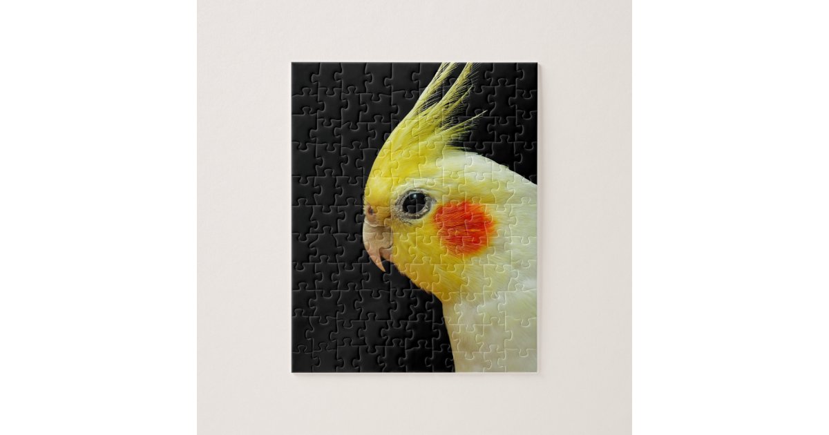 Lutino Cockatiel Jigsaw Puzzle | Zazzle