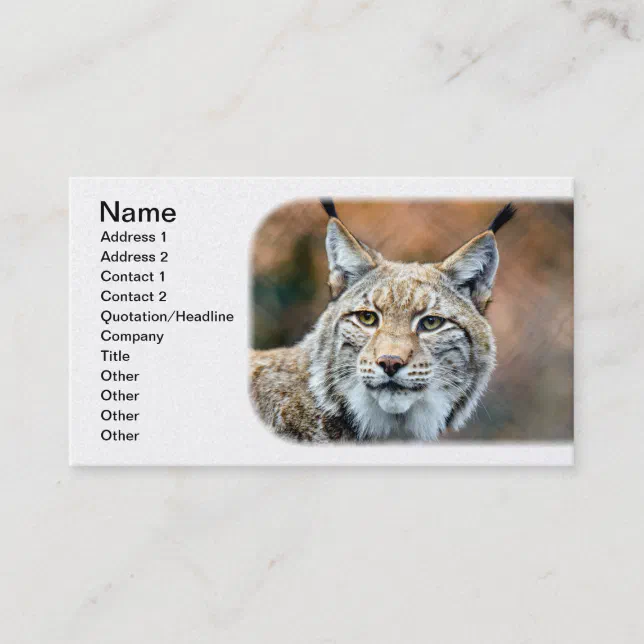 Lynx Bobcat Wildlife Predator Cat Business Card | Zazzle