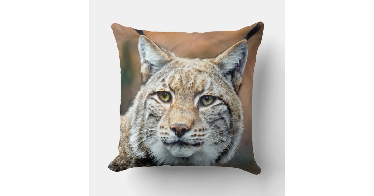 Lynx Bobcat Wildlife Predator Cat Throw Pillow | Zazzle