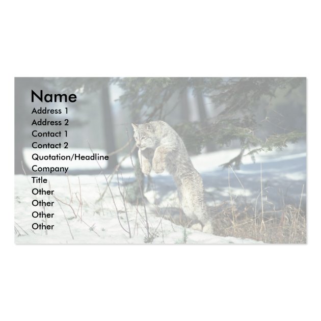 Lynx leaping, bounding on snow business card template