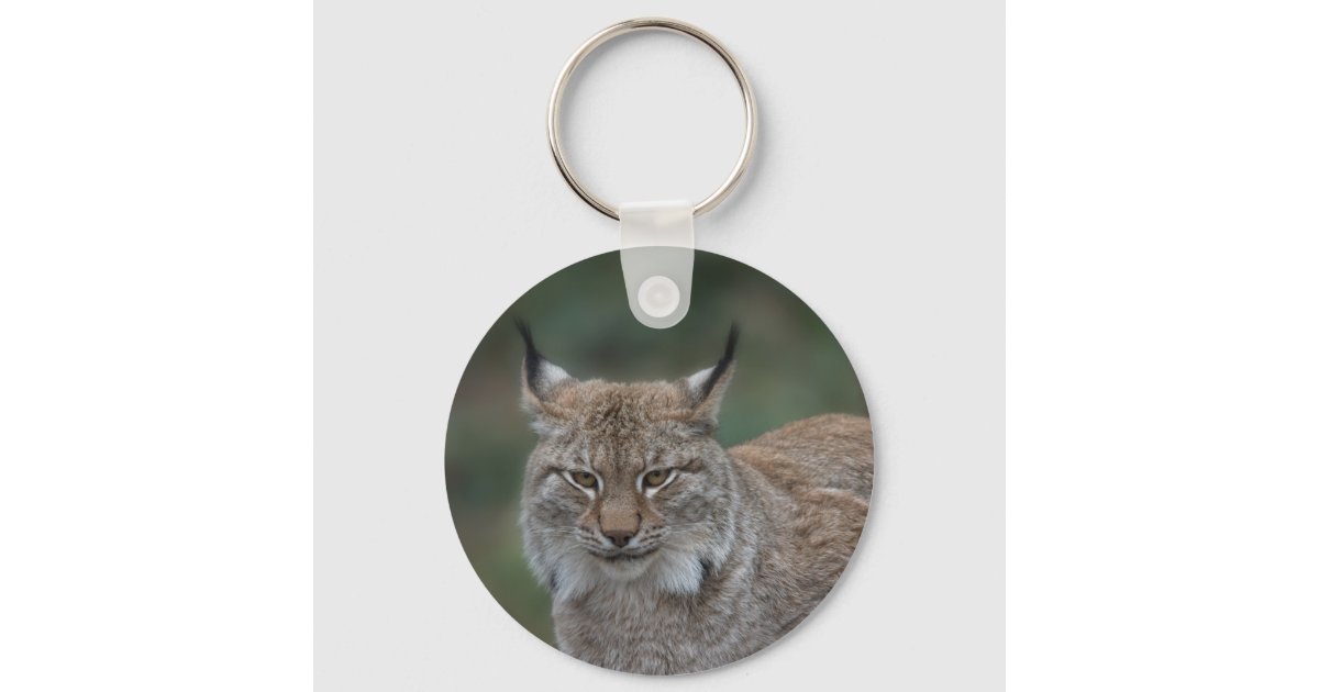 Lynx Looking At You Classic Keychain | Zazzle
