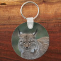Lynx Looking At You Classic Keychain | Zazzle