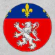 Lyon city France flag symbol Patch | Zazzle